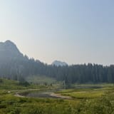 Tipsoo Lake Loop, Washington - 405 Reviews, Map | AllTrails