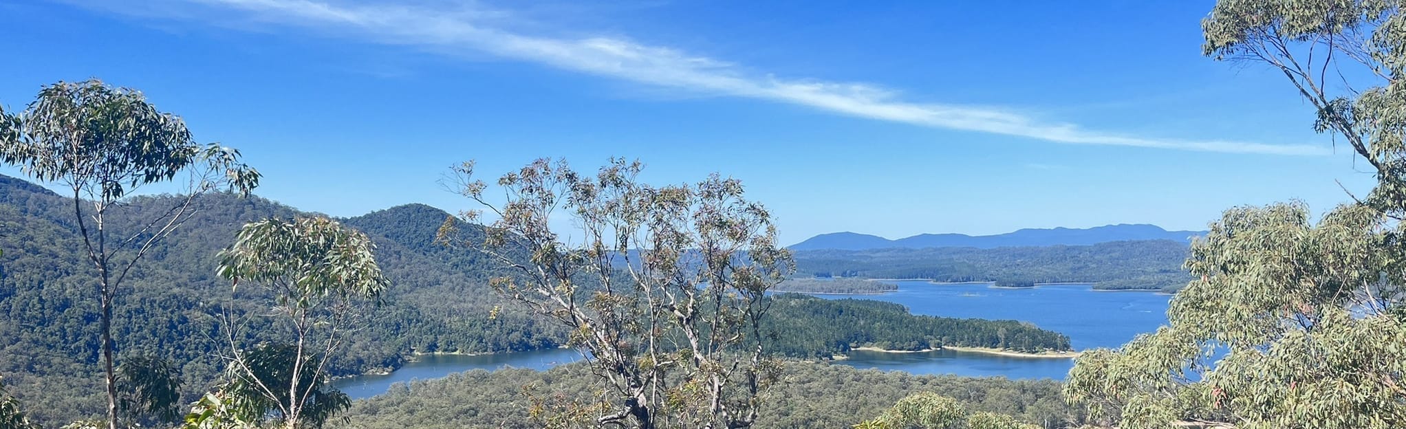 Torpedo Track to Lake Tinaroo Lookout: 26 Reviews, Map - Queensland ...