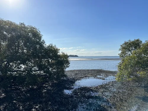 Best Walking Trails in Boondall Wetlands | AllTrails