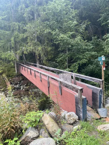 Best Hikes and Trails in Rolla naturreservat | AllTrails