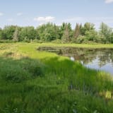 Magalloway River Trail, New Hampshire - 82 Reviews, Map | AllTrails