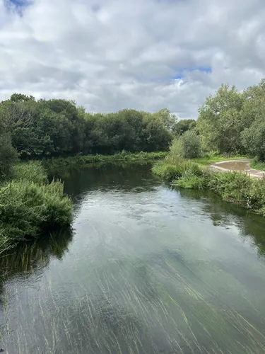 Best Hikes and Trails in Itchen Valley Nature Reserve | AllTrails