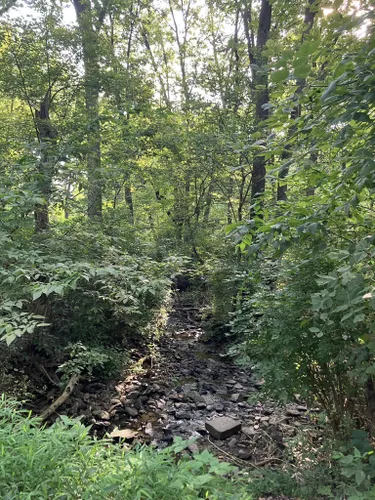 2023 Best Walking Trails in Lancaster | AllTrails