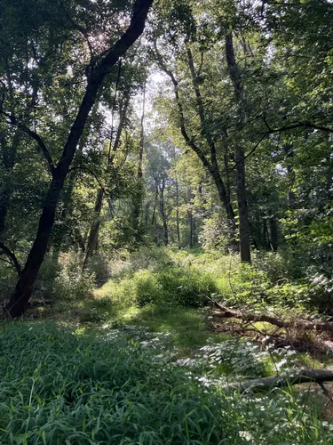 2023 Best Walking Trails in Lancaster | AllTrails