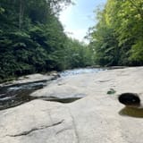Meadow Run Trail, Pennsylvania - 995 Reviews, Map | AllTrails
