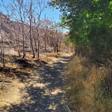 Deadman's Lake via Goat Mountain Trail #217, Washington - 53 Reviews ...