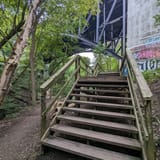 Moore Park Ravine Trail, Ontario, Canada - 991 Reviews, Map | AllTrails