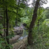 Moore Park Ravine Trail, Ontario, Canada - 991 Reviews, Map | AllTrails