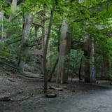 Moore Park Ravine Trail, Ontario, Canada - 991 Reviews, Map | AllTrails
