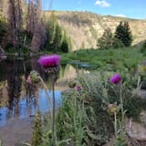 Strawberry River, Utah - 65 Reviews, Map | AllTrails