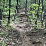 Cranmore Mountain, New Hampshire - 179 Reviews, Map | AllTrails