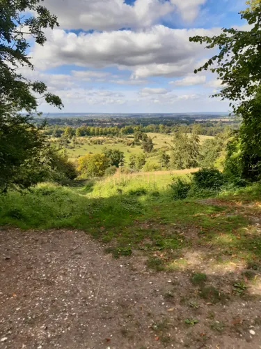Best Hikes and Trails in Tring Park | AllTrails