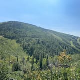 Thunderhead Hiking Trail, Colorado - 842 Reviews, Map | AllTrails