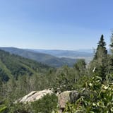 Thunderhead Hiking Trail, Colorado - 842 Reviews, Map | AllTrails