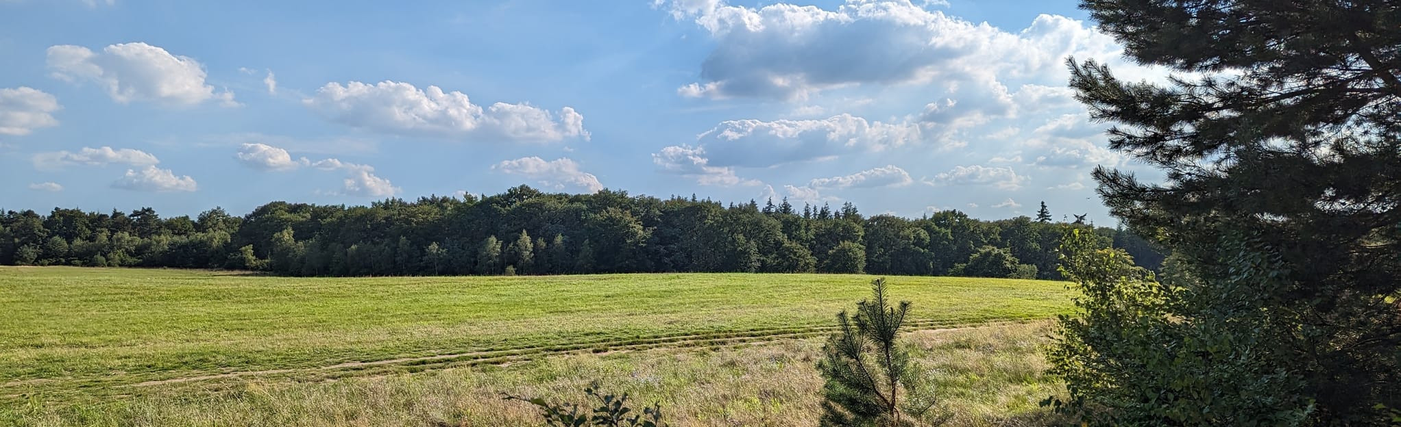 Bergse Bossen - Zanderij Maarn: 7 Reviews, Map - Utrecht, Netherlands ...