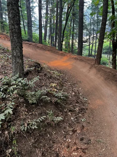 Best Hikes and Trails in Wygant State Natural Area | AllTrails