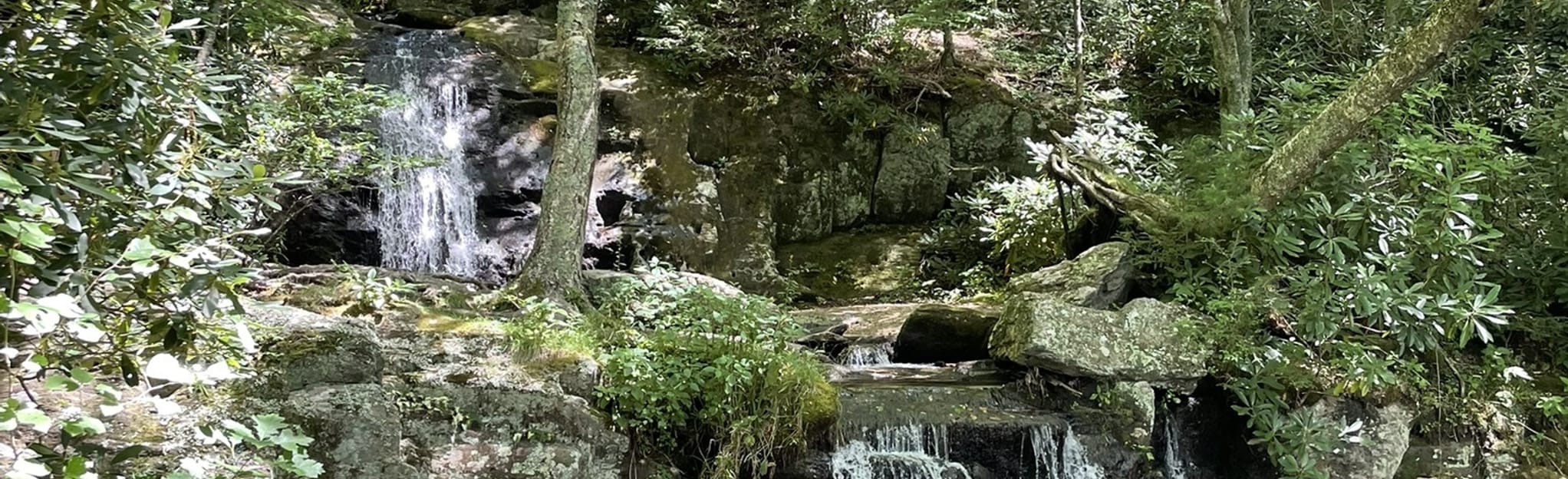 Bobby McLean Memorial Park Trail, North Carolina - 42 Reviews, Map ...