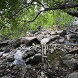 Burch Creek Trail, Utah - 777 Reviews, Map | AllTrails