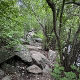 Burch Creek Trail, Utah - 777 Reviews, Map | AllTrails