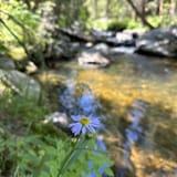 Blue Sky Loop, Colorado - 784 Reviews, Map | AllTrails