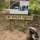 Stiles Falls, Virginia - 498 Reviews, Map | AllTrails