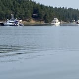 Bell Point Loop Trail, Washington - 413 Reviews, Map | AllTrails