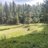 Cabin Loop Trail, Arizona - 226 Reviews, Map | AllTrails