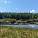 North Country Trail and Fife Lake Loop, Michigan - 316 Reviews, Map ...