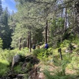 Cabin Loop Trail, Arizona - 226 Reviews, Map | AllTrails