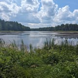 North Country Trail and Fife Lake Loop, Michigan - 316 Reviews, Map ...