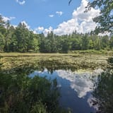 North Country Trail and Fife Lake Loop, Michigan - 327 Reviews, Map ...