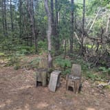 North Country Trail and Fife Lake Loop, Michigan - 327 Reviews, Map ...