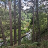 North Country Trail and Fife Lake Loop, Michigan - 327 Reviews, Map ...