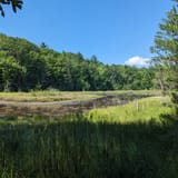 North Country Trail and Fife Lake Loop, Michigan - 327 Reviews, Map ...