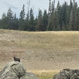 Storm Point Loop, Montana - 915 Reviews, Map | AllTrails