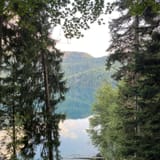 Alpsee Loop, Bavaria, Germany - 290 Reviews, Map | AllTrails