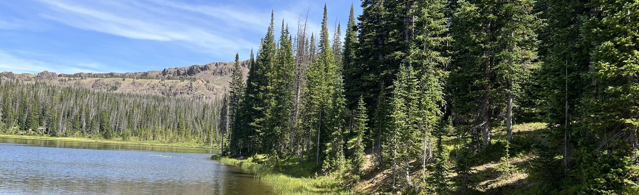 Zimmerman Lake Trail: 210 foto's - Colorado | Wandelen - AllTrails