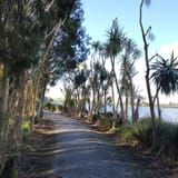 Kainui Lake Loop, Waikato, New Zealand - 99 Reviews, Map | AllTrails