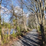 Kainui Lake Loop, Waikato, New Zealand - 99 Reviews, Map | AllTrails