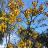 Kainui Lake Loop, Waikato, New Zealand - 99 Reviews, Map | AllTrails