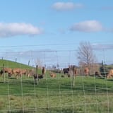 Kainui Lake Loop, Waikato, New Zealand - 99 Reviews, Map | AllTrails