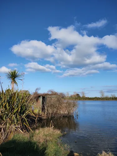 2023 Best Trails, Walks, and Paths in Taupiri | AllTrails