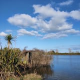 Kainui Lake Loop, Waikato, New Zealand - 99 Reviews, Map | AllTrails