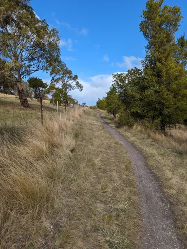 Best Hikes and Trails in South Arm Nature Recreation Area | AllTrails