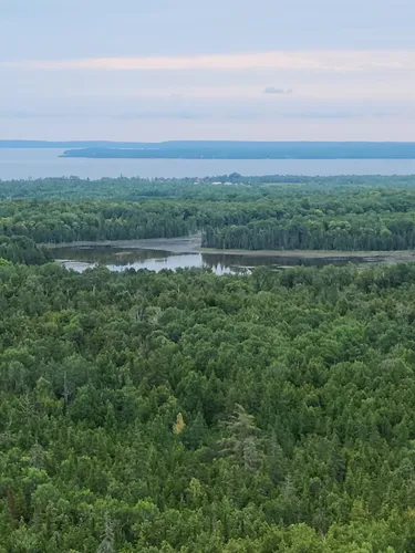 2023 Best Forest Trails in Northeastern Manitoulin And The Islands ...