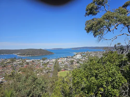 Best Hikes and Trails in Blackwall Mountain Reserve | AllTrails