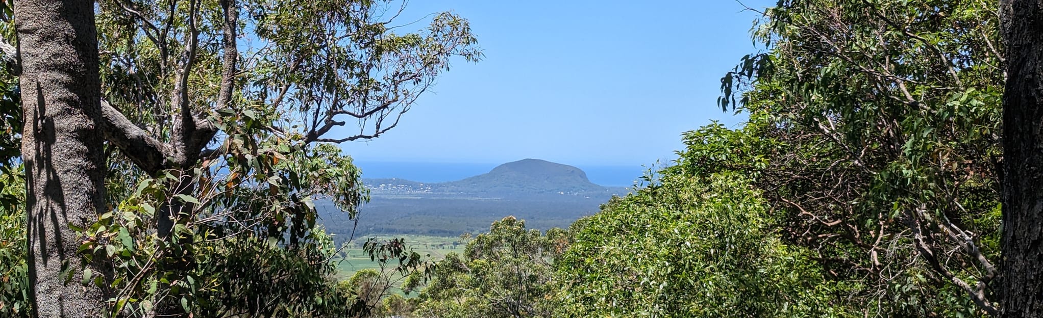 Mount Ninderry Trail, Queensland, Australia - 381 Reviews, Map | AllTrails
