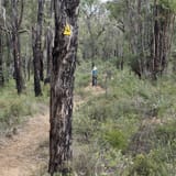 Mount Cooke Loop, Western Australia, Australia - 496 Reviews, Map ...