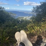 Morelia Walking Track, Queensland, Australia - 256 Reviews, Map | AllTrails