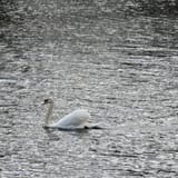 Kep Track, Western Australia, Australia - 54 Reviews, Map | AllTrails